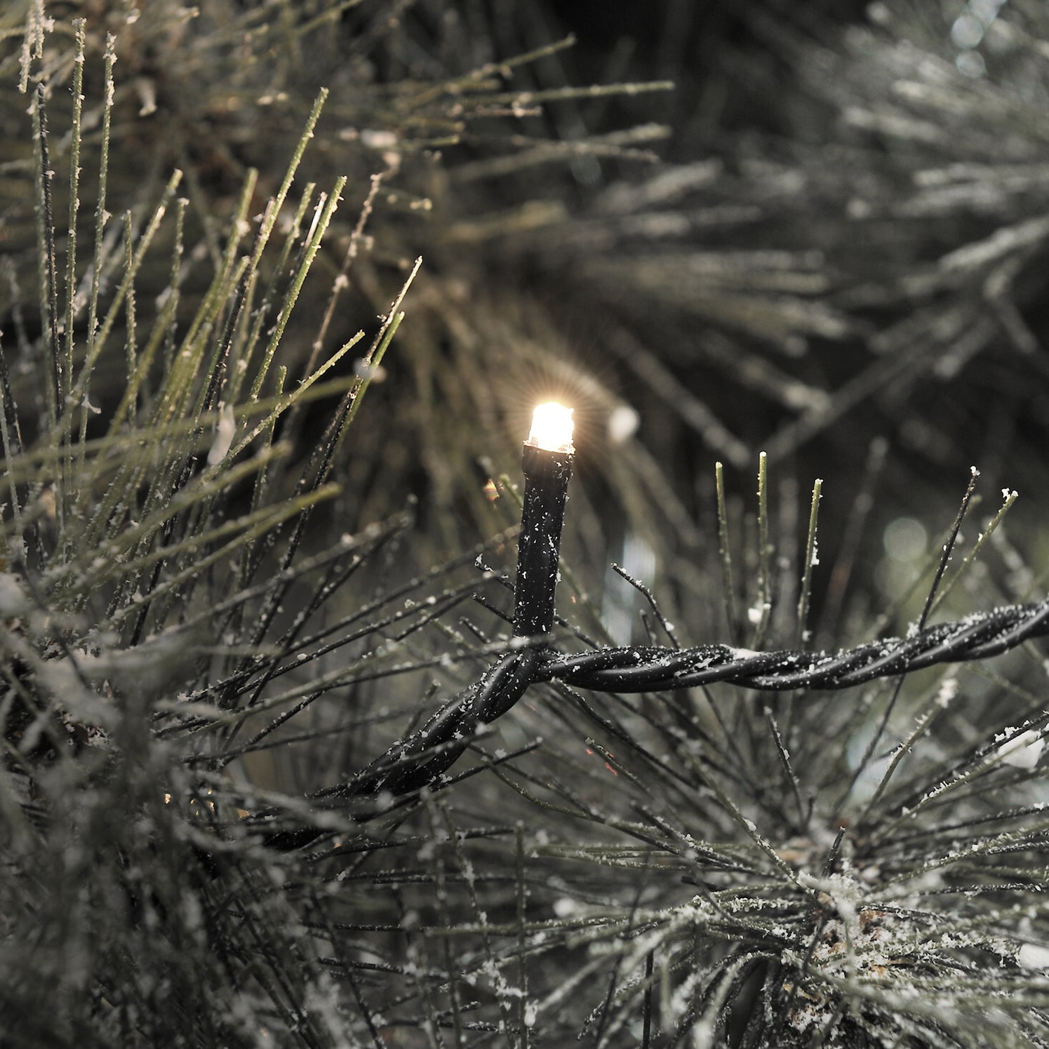 Lichterketten — LEDs.de